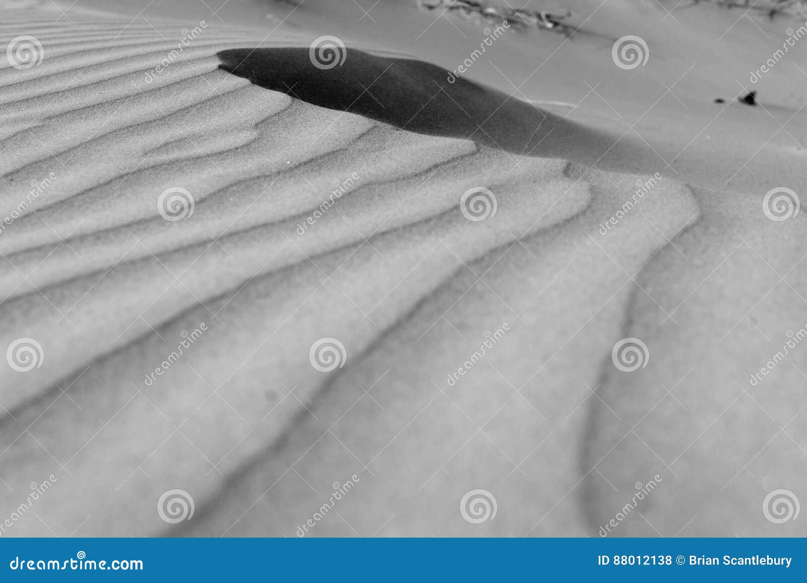 Windswept Sand Patterns Ninety Mile Beach, Northland NZ Stock Photo ...