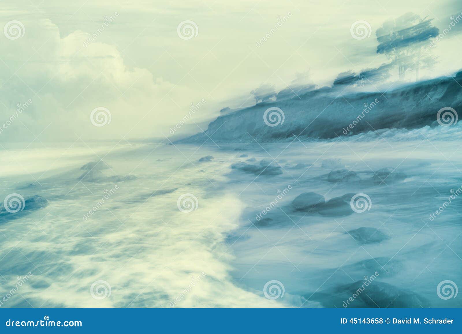 Windswept Shore stock photo. Image of shore, horizontal - 45143658