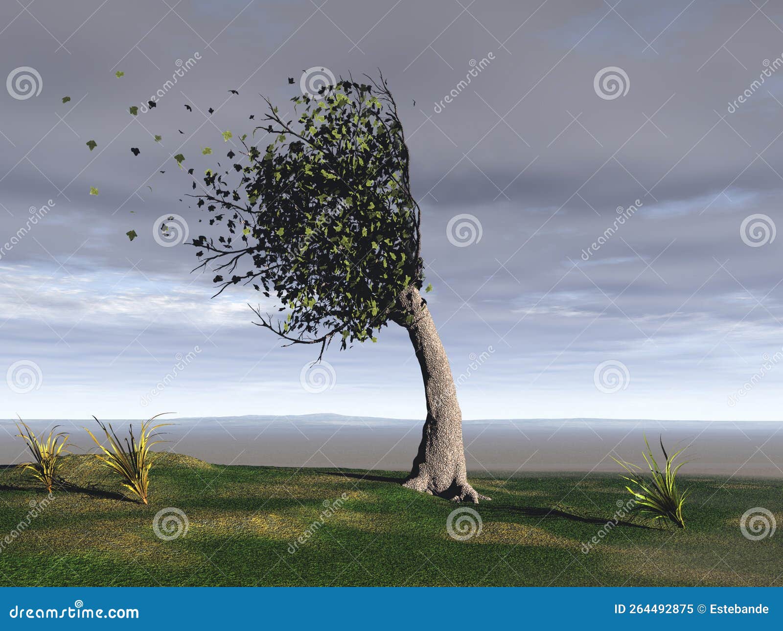 Windswept Tree in a Lonely Landscape Stock Illustration - Illustration ...