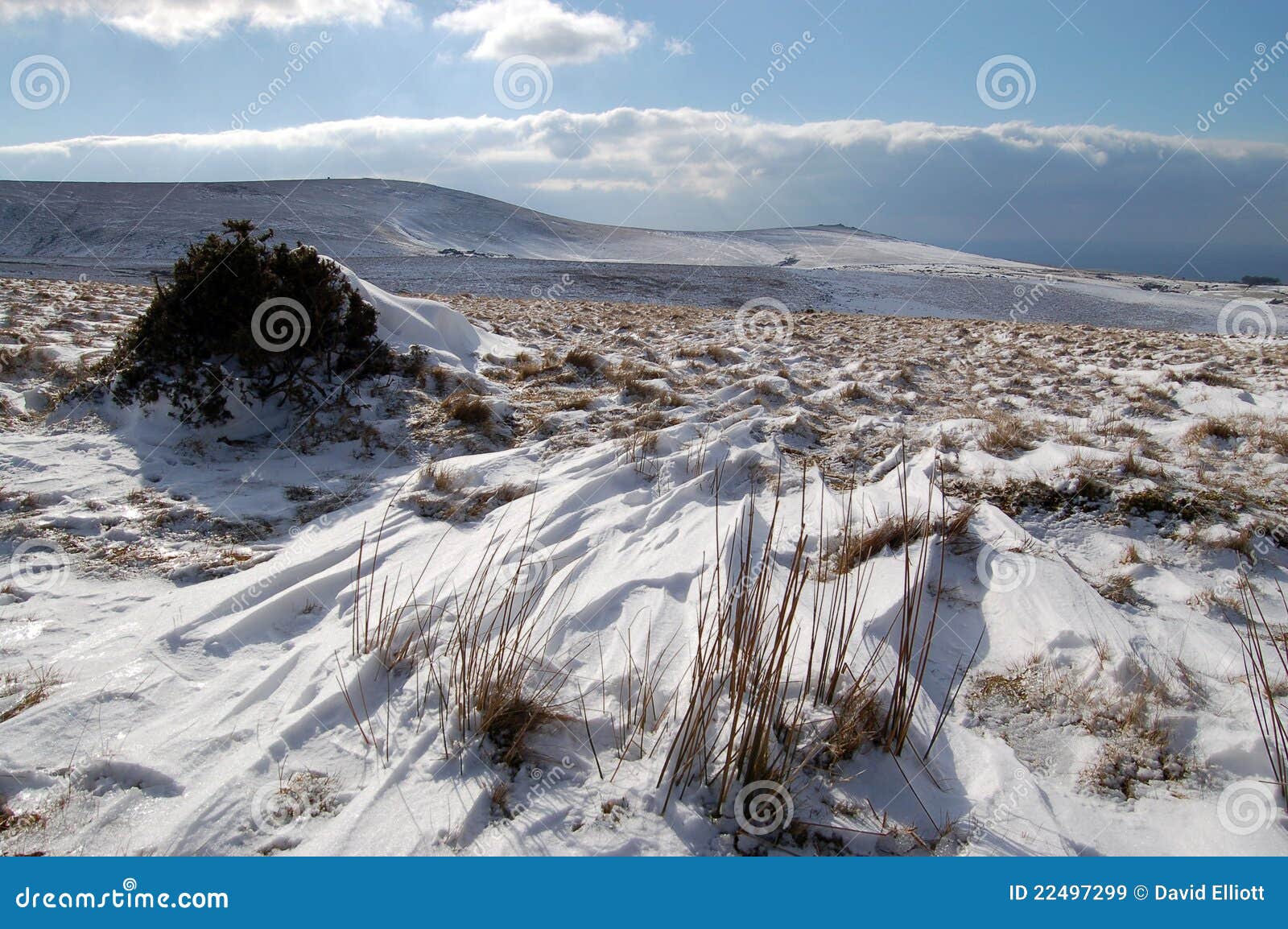 Windswept wilderness stock image. Image of devon, hill - 22497299