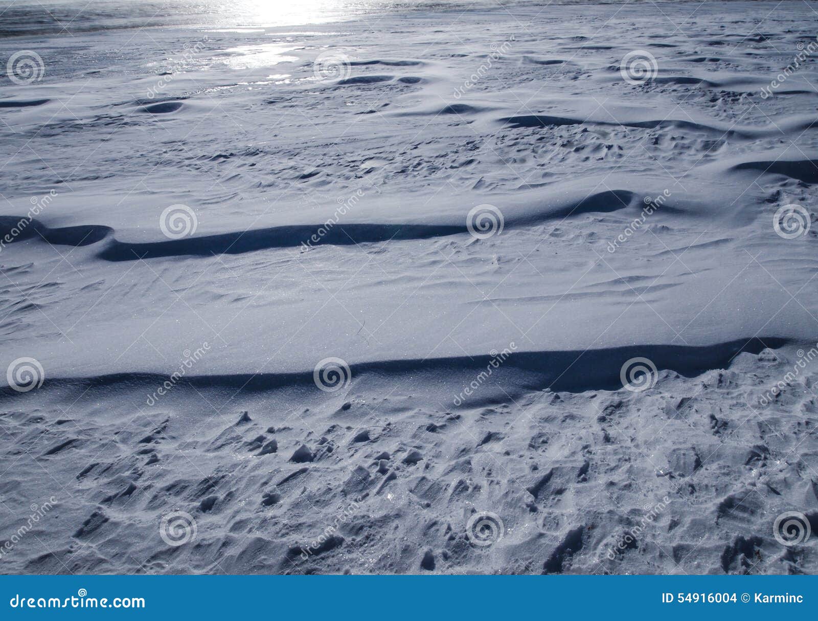 Windswept winter snowscape stock photo. Image of snowscape - 54916004