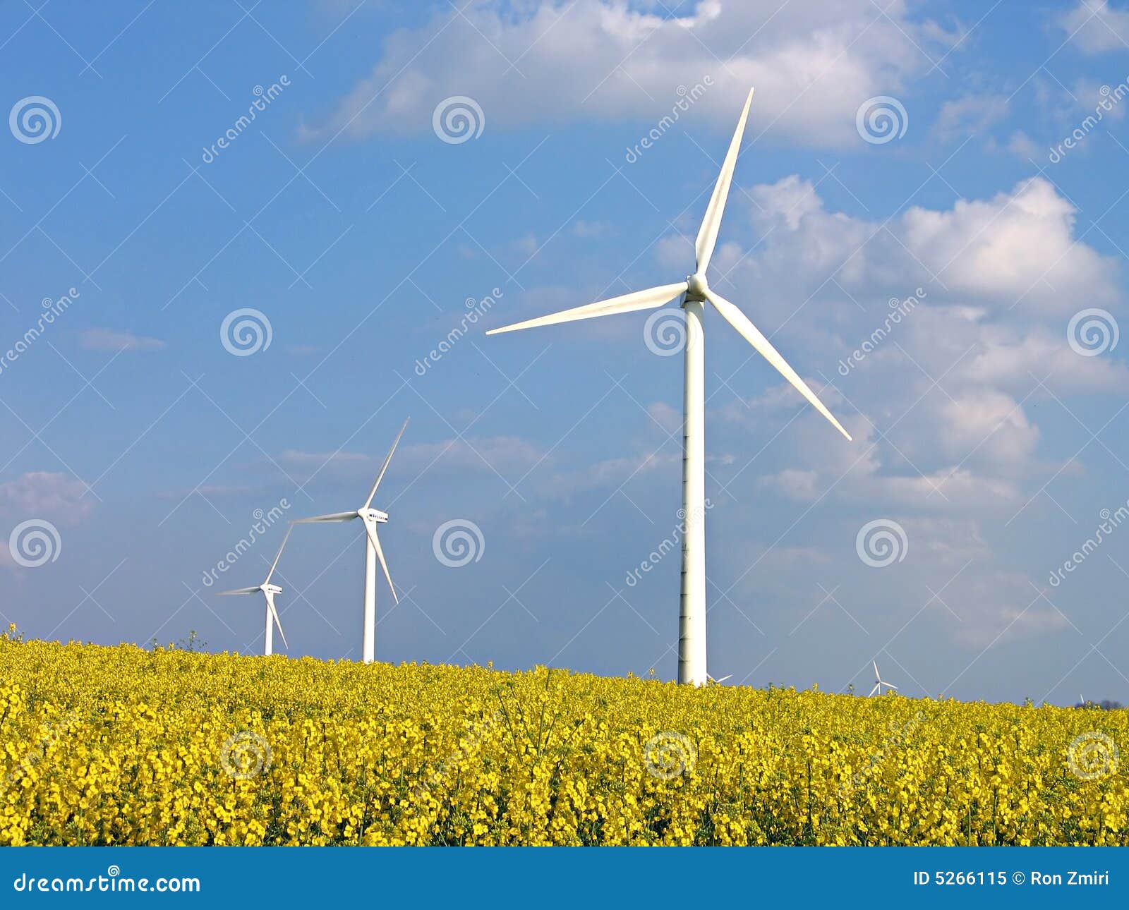 Windturbinen Auf Dem Rapsgebiet Stockbild - Bild von tausendstel ...