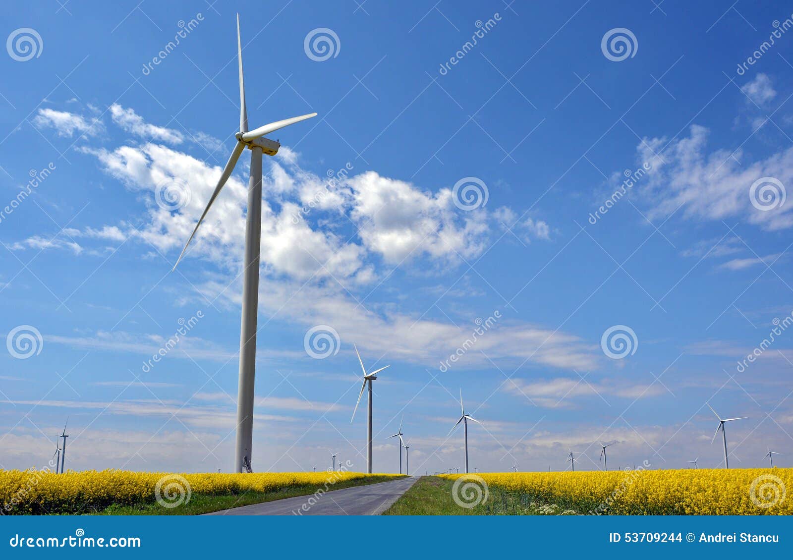 Windturbinen Auf Dem Rapsgebiet Stockfoto - Bild von alternative ...