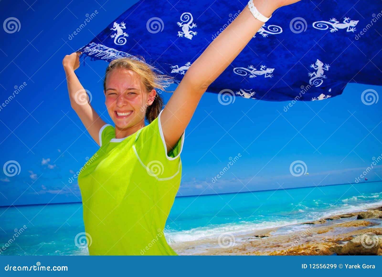 Windy beach stock image. Image of ocean, vacations, smile - 12556299
