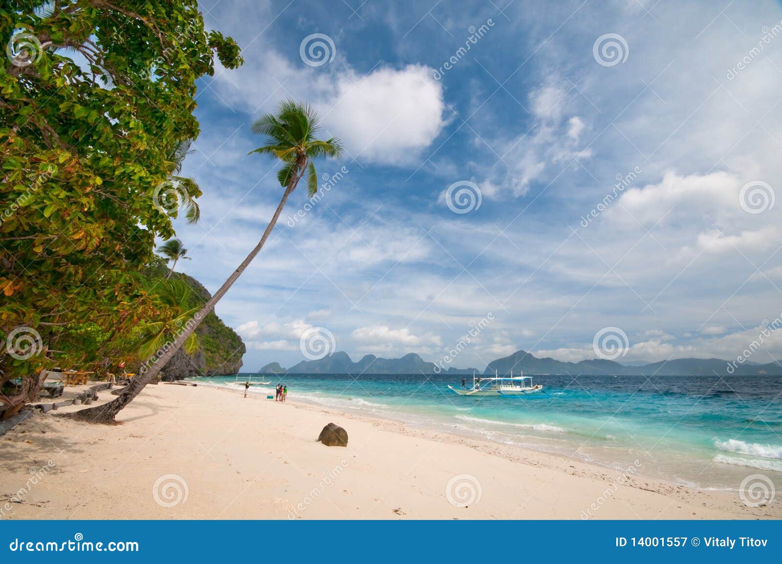 Windy Beach stock image. Image of daylight, plant, horizon - 14001557