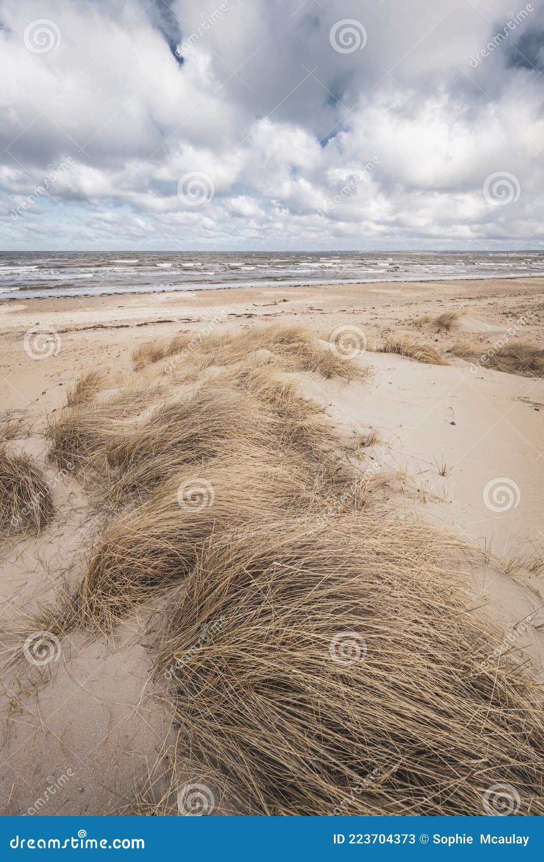 Windy beach day stock image. Image of horizon, europe - 223704373