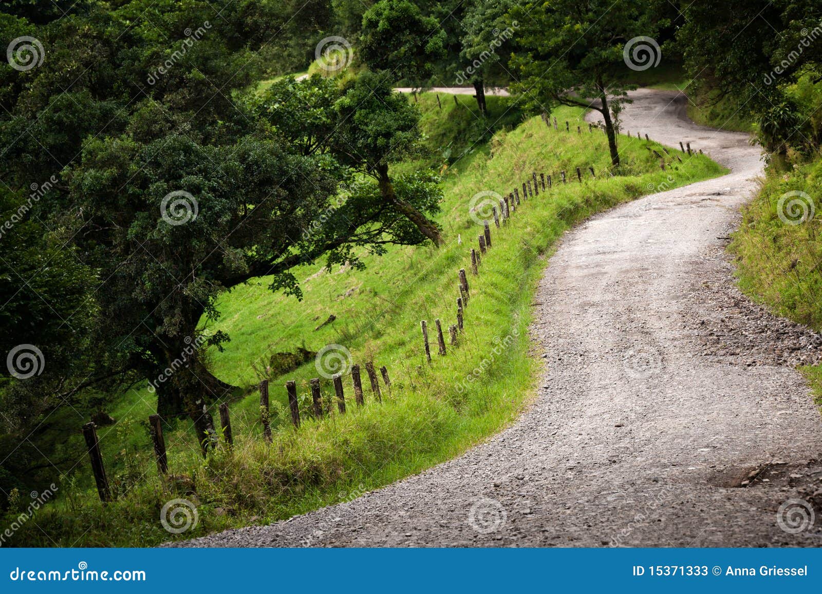 Windy Costa Rica road stock image. Image of rocky, forest - 15371333