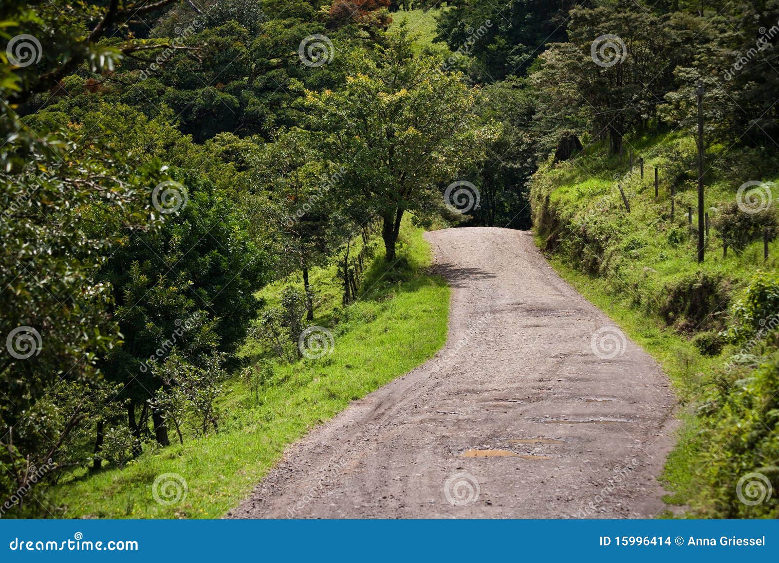 Windy Costa Rica road stock photo. Image of green, backroad - 15996414
