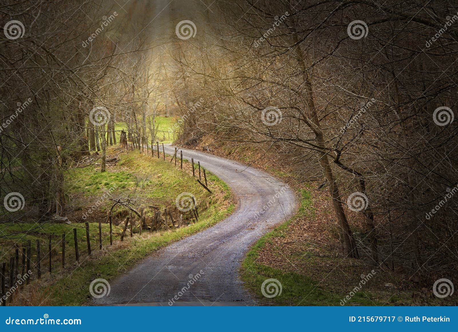 Windy Country Road and Sun Beams Stock Image - Image of sunny, curve ...