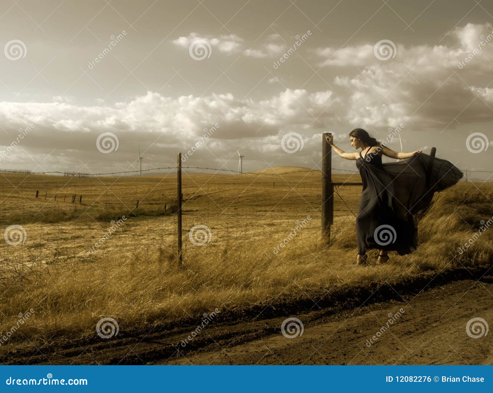 Windy Day stock photo. Image of woman, county, windy - 12082276