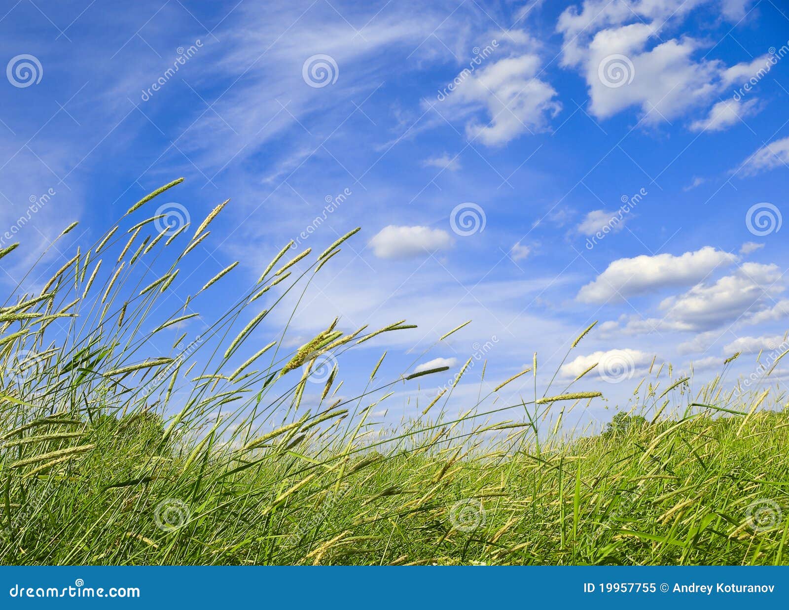Windy Day Royalty Free Stock Photo - Image: 19957755