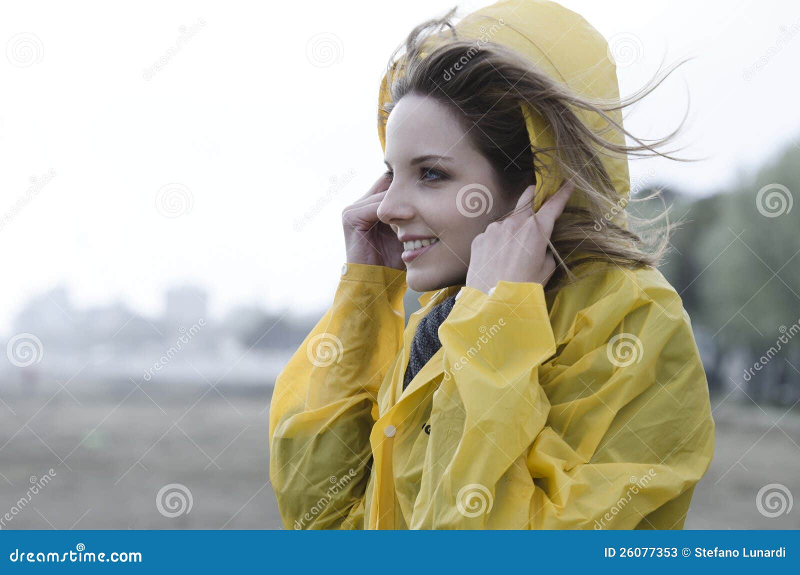 Windy day on the beach stock image. Image of close, beach - 26077353
