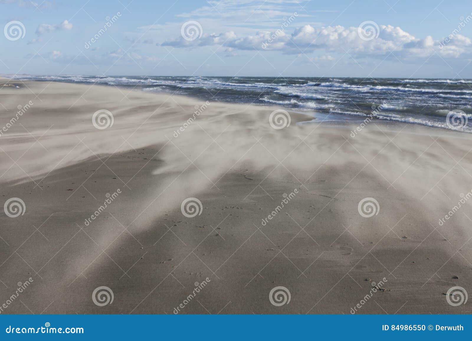 Windy day on a beach stock photo. Image of yellow, wind - 84986550