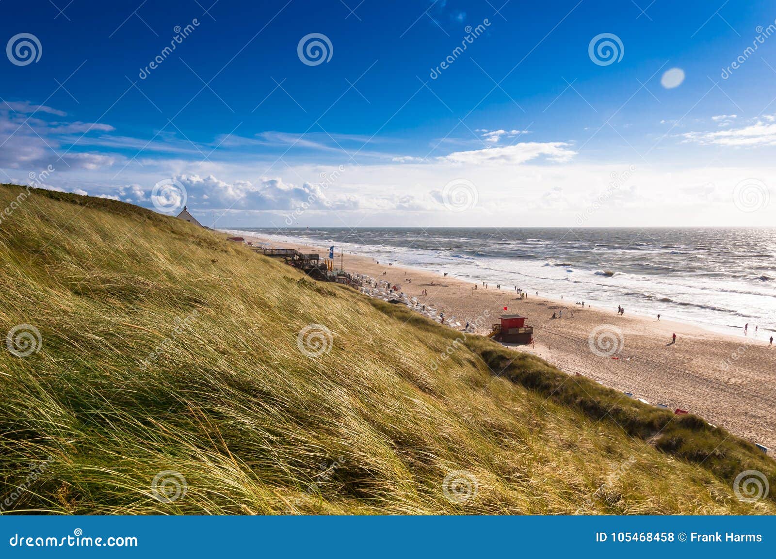 Windy Day at the Beach, Sylt Stock Photo - Image of dune, landscape ...