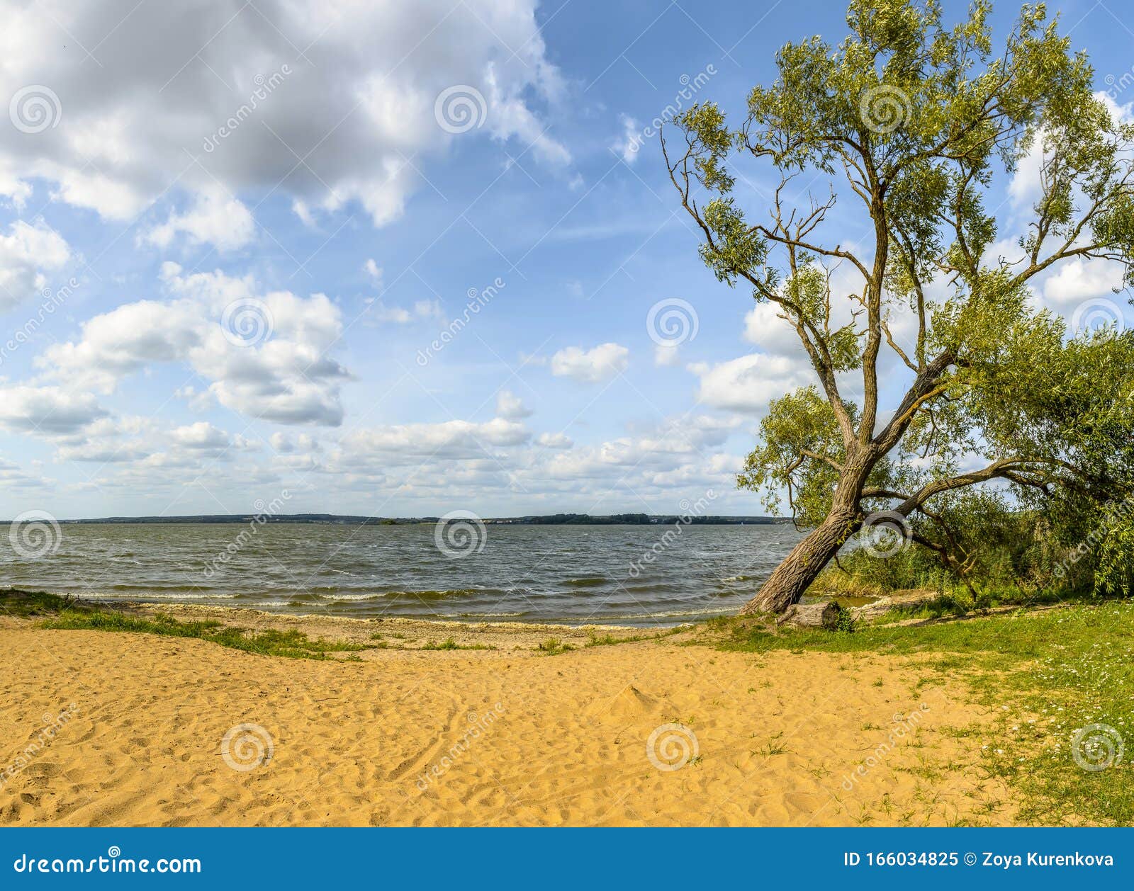 Windy Day on the Beach at Zaslavsky Reservoir Stock Image - Image of ...