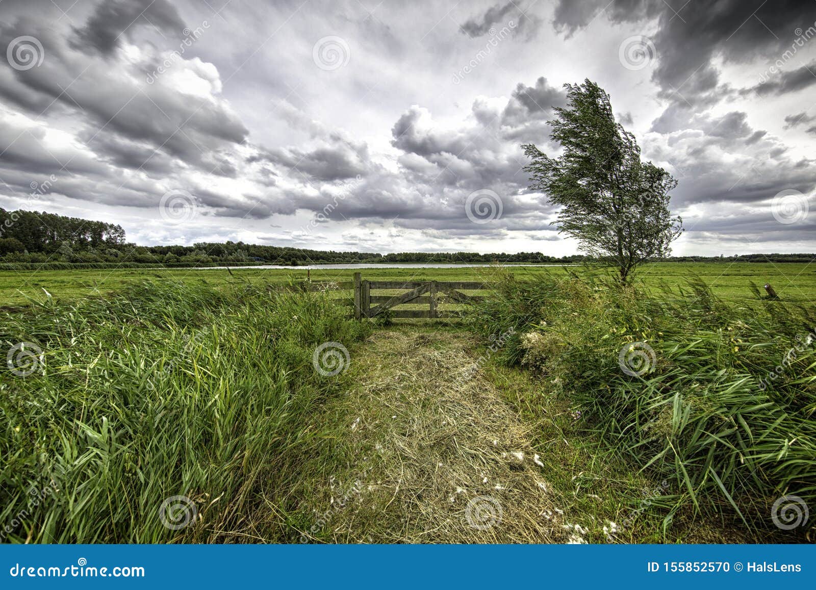 WIndy Day on the Field stock photo. Image of cloudscape - 155852570