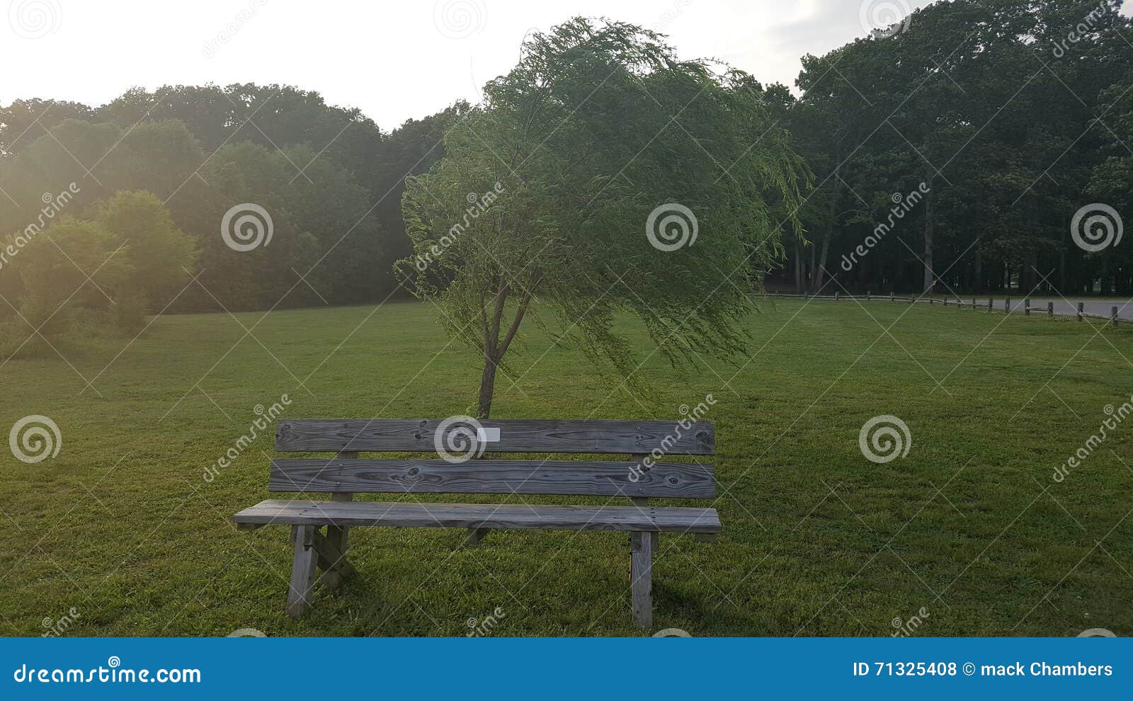 Windy day by the lake stock photo. Image of beautiful - 71325408