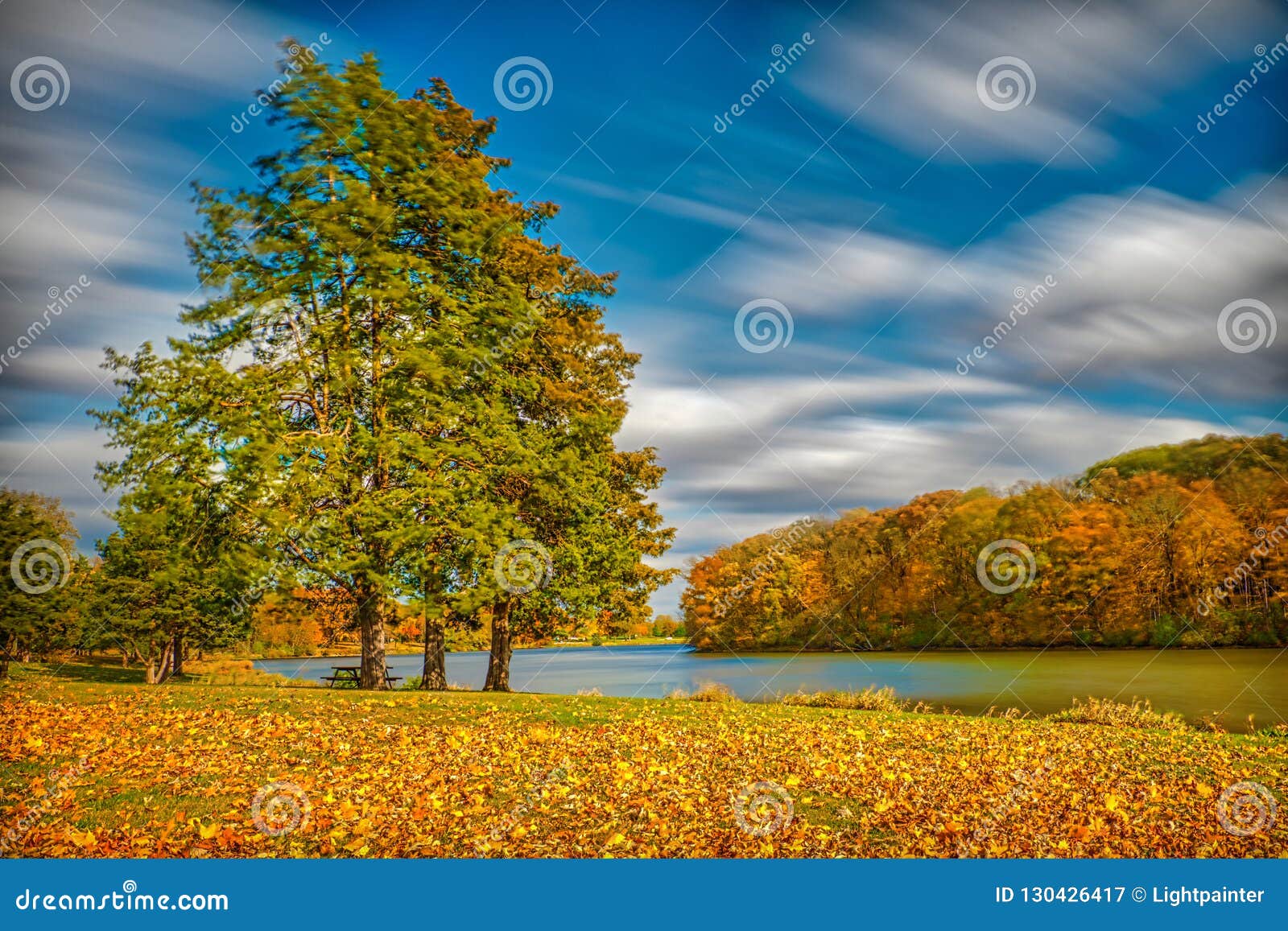 Windy day stock image. Image of gust, color, autumn - 130426417