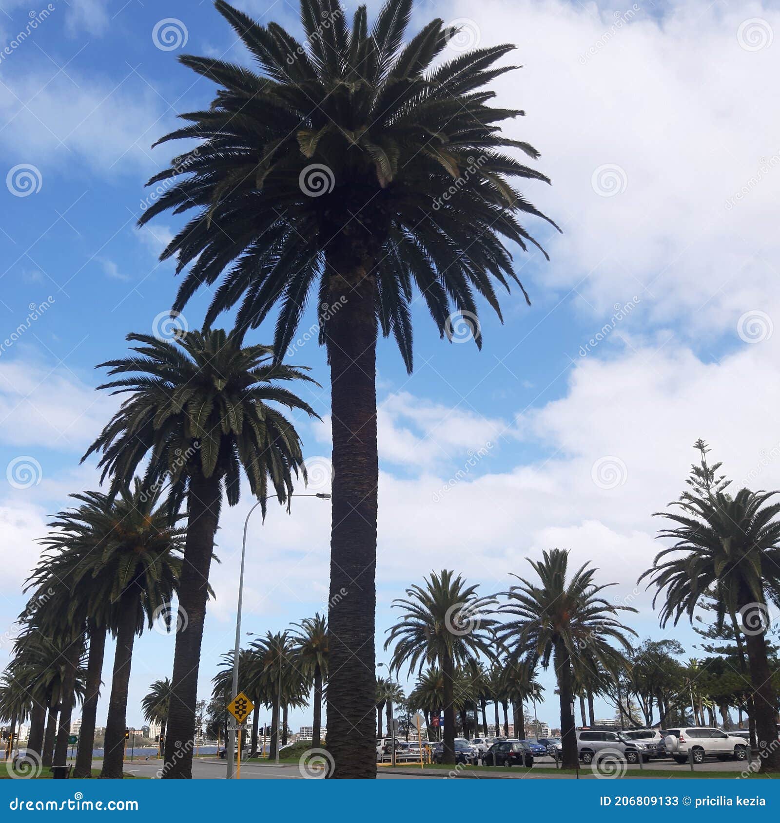 Windy day in perth stock image. Image of blue, sunlight - 206809133