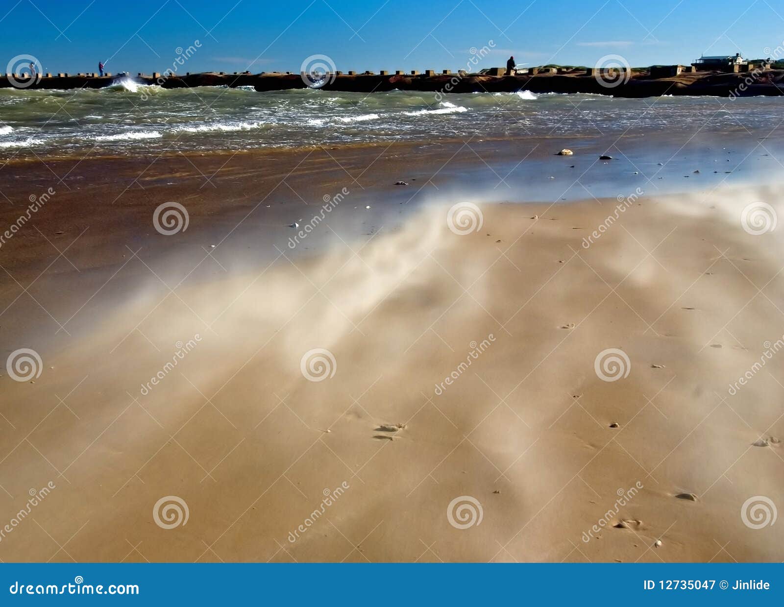 Windy day on sandy beach stock image. Image of windy - 12735047