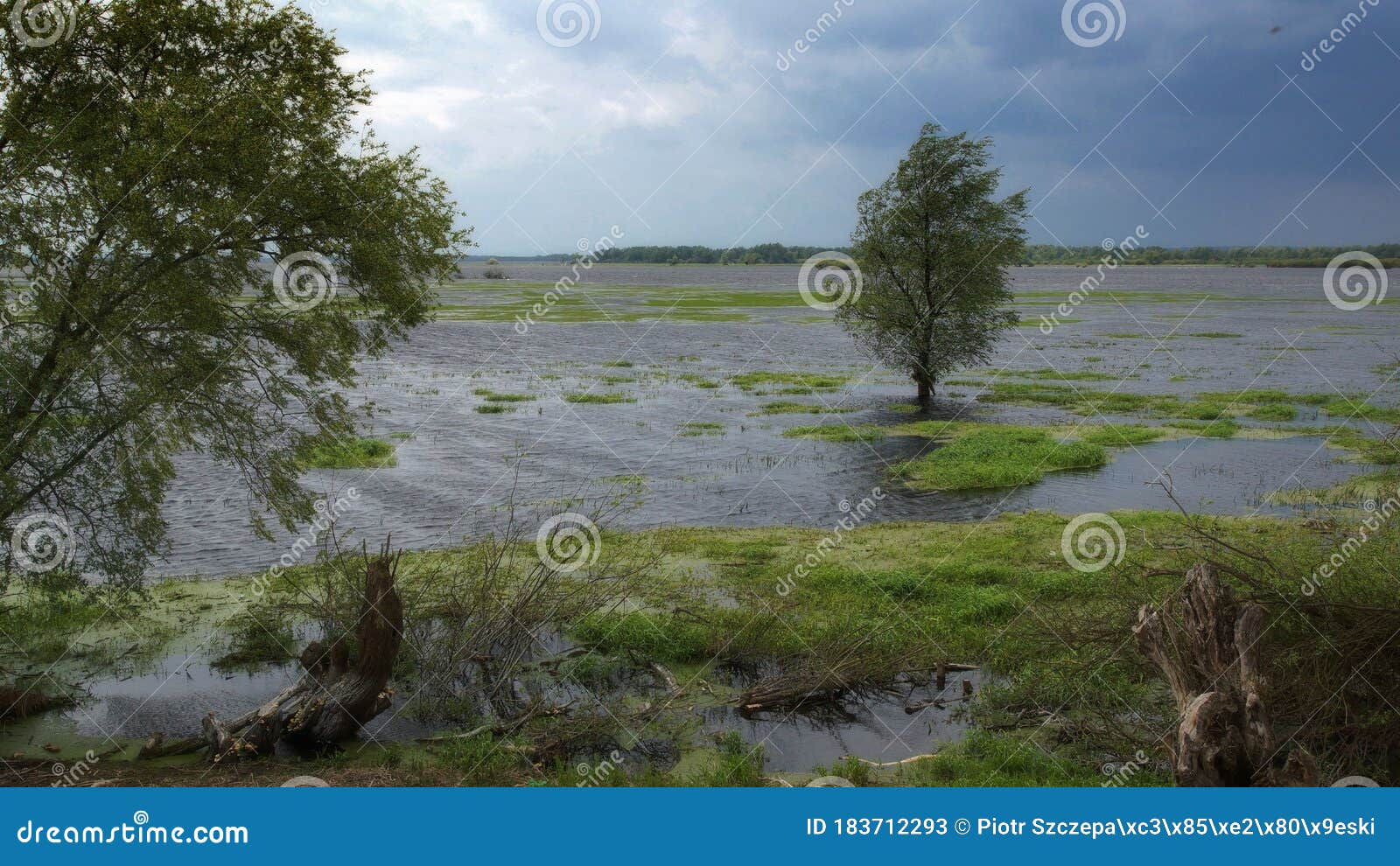 A Windy Day - before the Storm Stock Image - Image of wind, ujå›cie ...