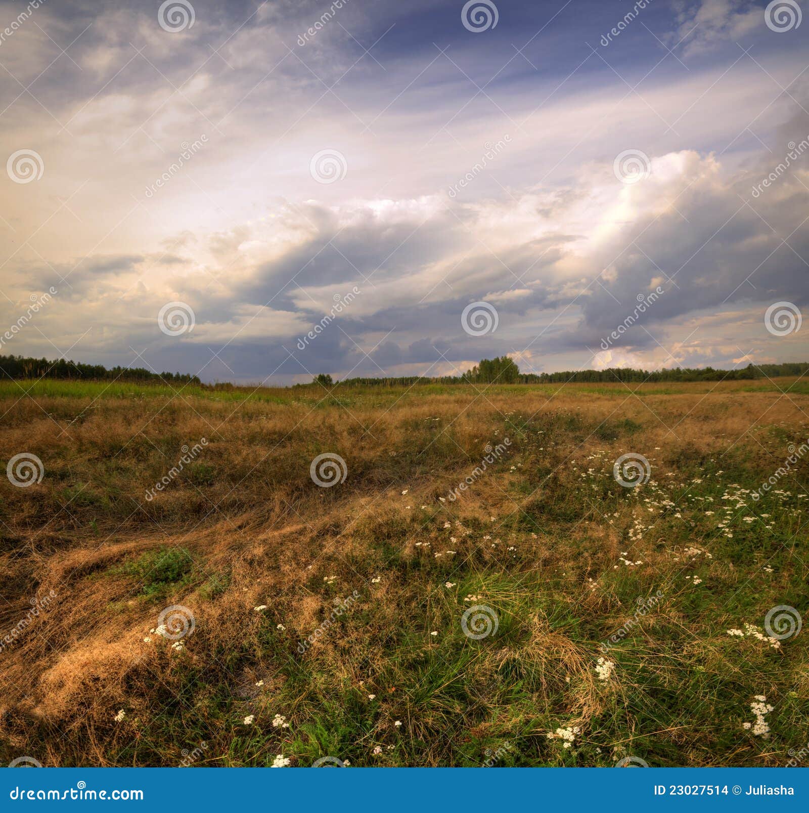 Windy field stock photo. Image of river, journey, russia - 23027514