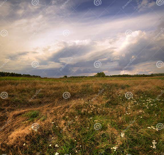 Windy field stock photo. Image of river, journey, russia - 23027514