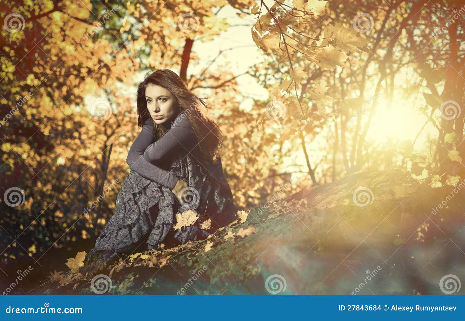 Windy forest sunset view stock photo. Image of portrait - 27843684