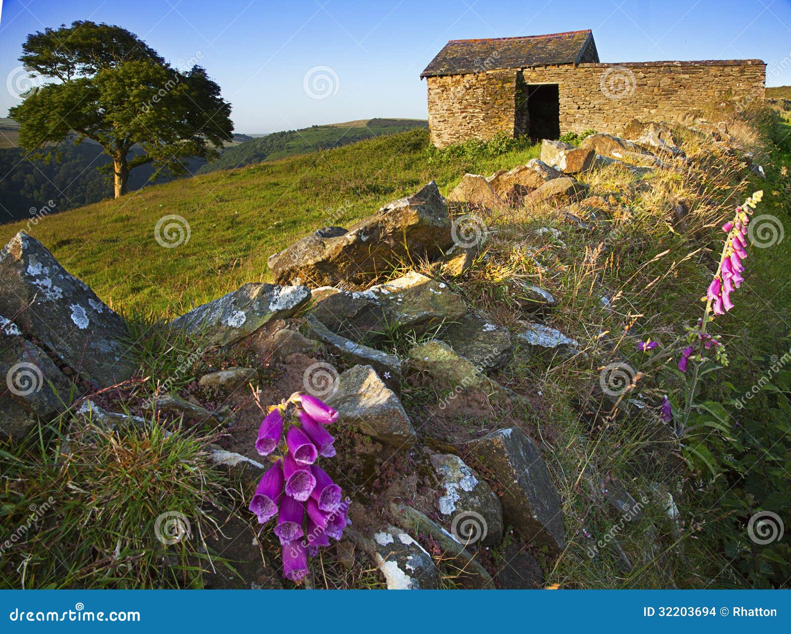 Windy Hill foto de archivo. Imagen de exterior, pasto - 32203694