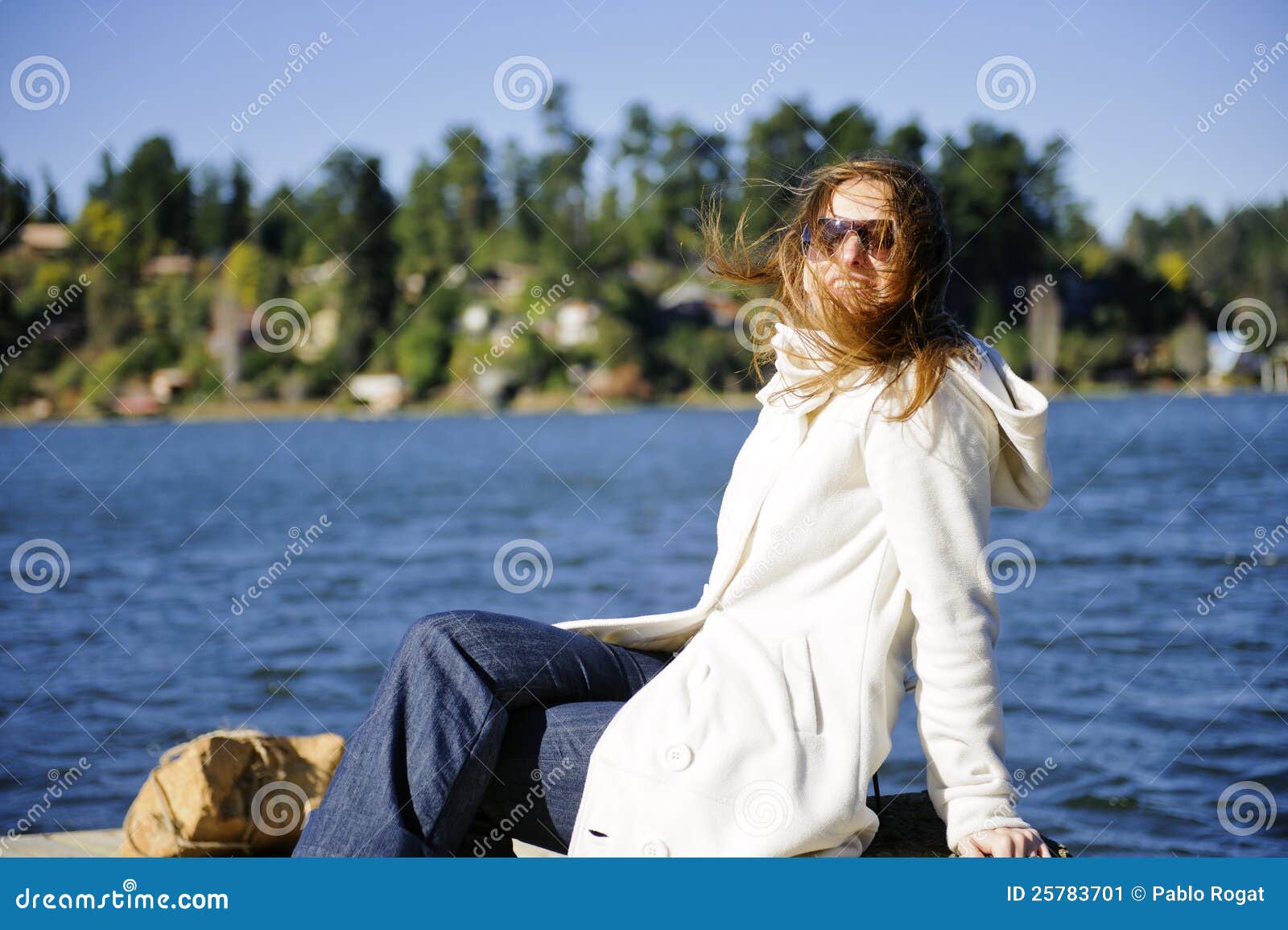 Windy morning at the lake stock image. Image of close - 25783701