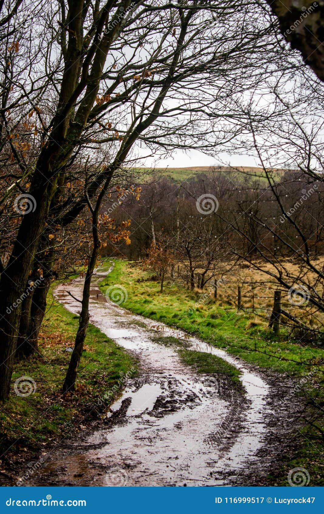 Muddy Pathway In Terraced Field Royalty-Free Stock Photography ...