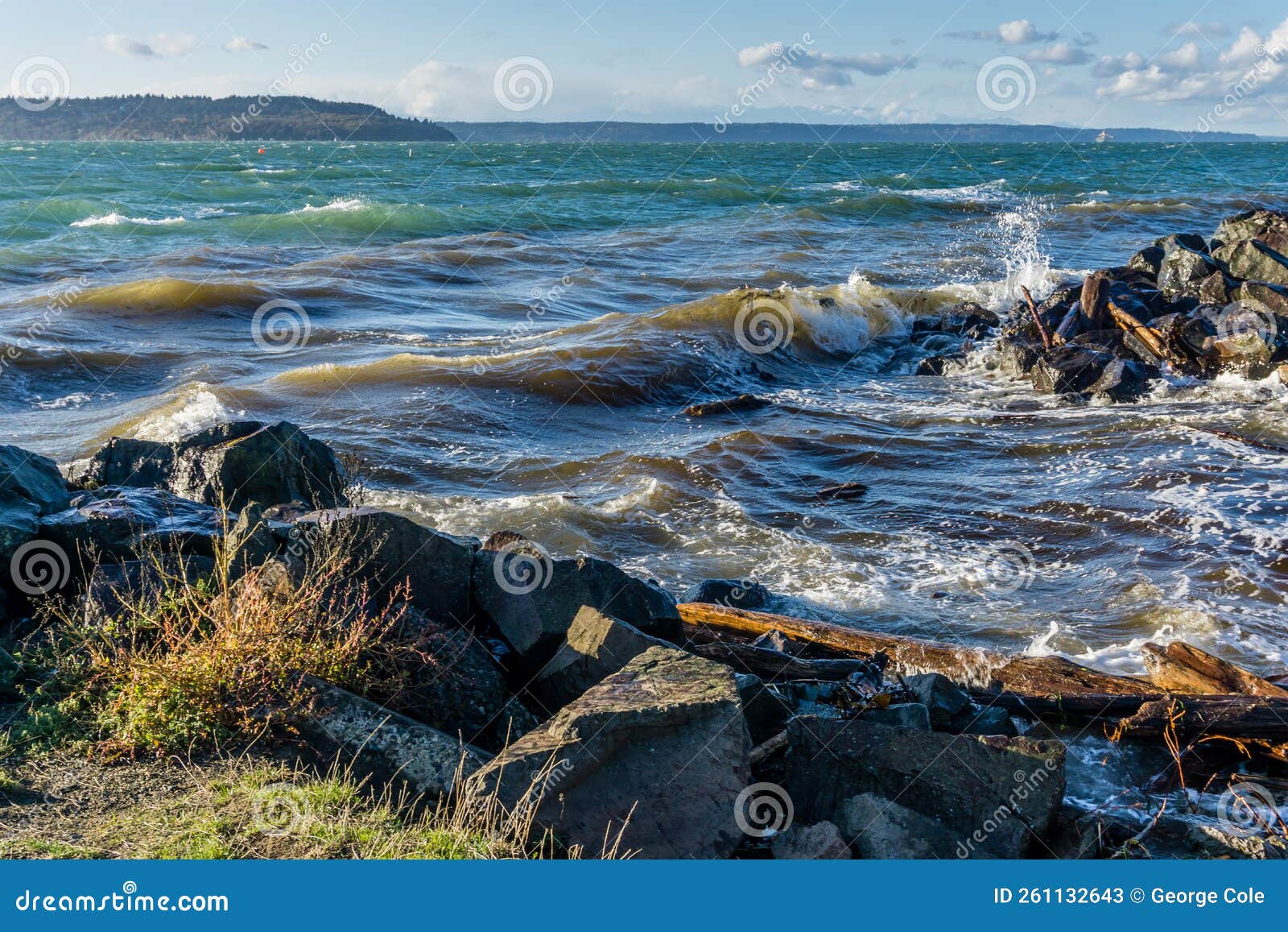Windy Ocean Landscape 3 stock image. Image of washington - 261132643