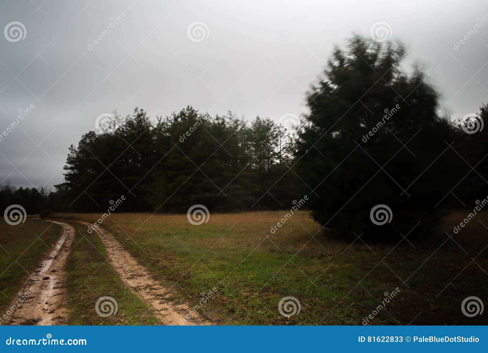 Windy Path stock image. Image of dirt, nature, path, gray - 81622833
