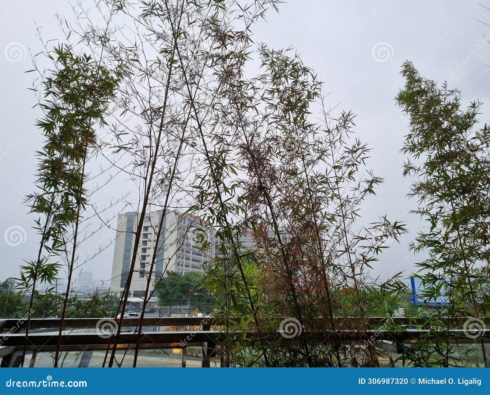 Windy and Rainy Day in Mandaue City, Cebu, Philippines Stock Photo ...