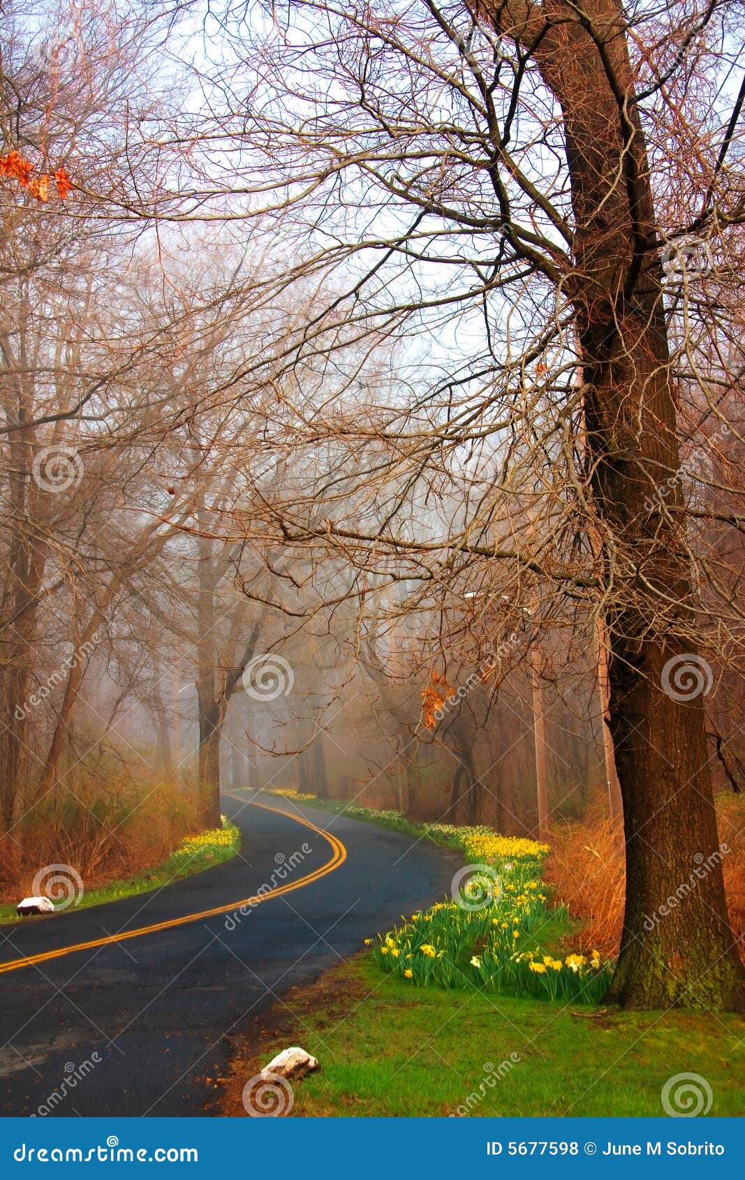 Windy Road stock photo. Image of scenic, drive, road, spring - 5677598