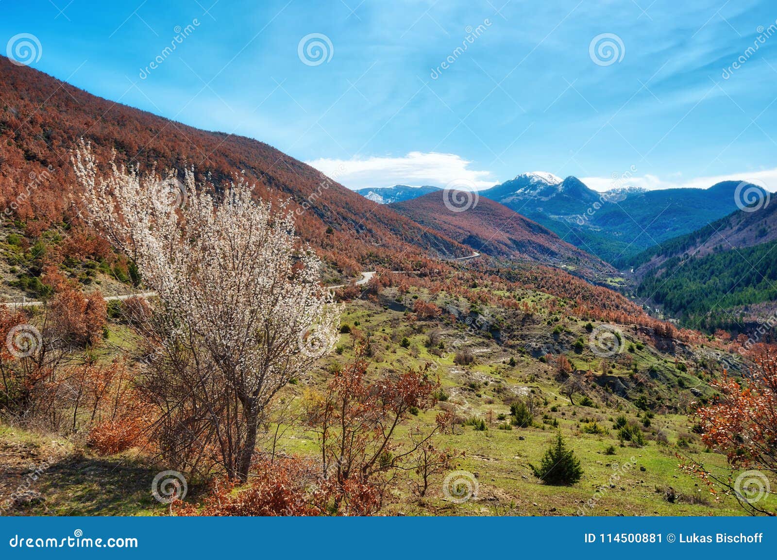 Windy Road in the Albanian Alps Stock Image - Image of landmark, europe ... Windy Road in the Albanian Alps Stock Image - Image of landmark, europe ...