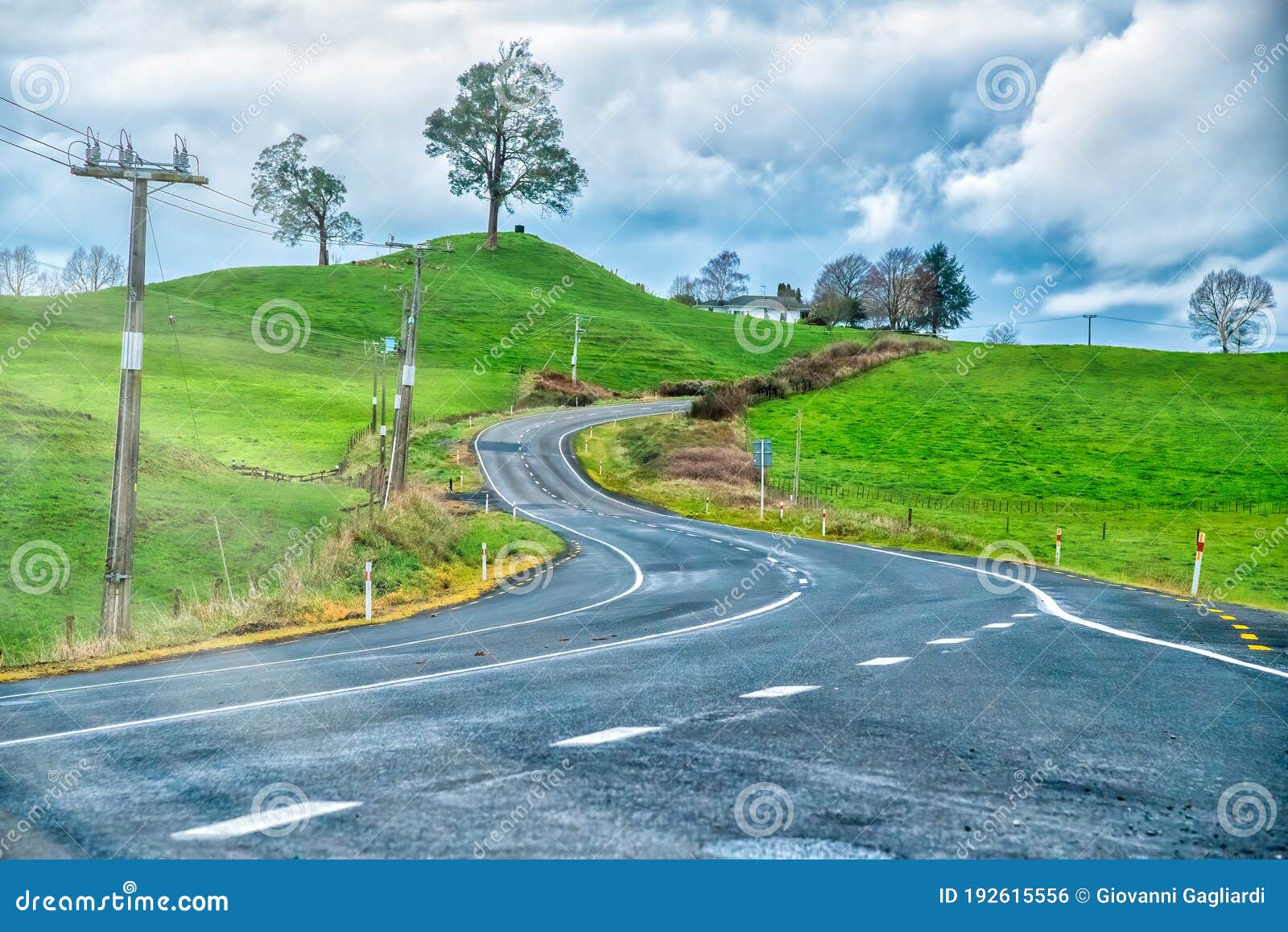Windy road of New Zealand stock photo. Image of field - 192615556