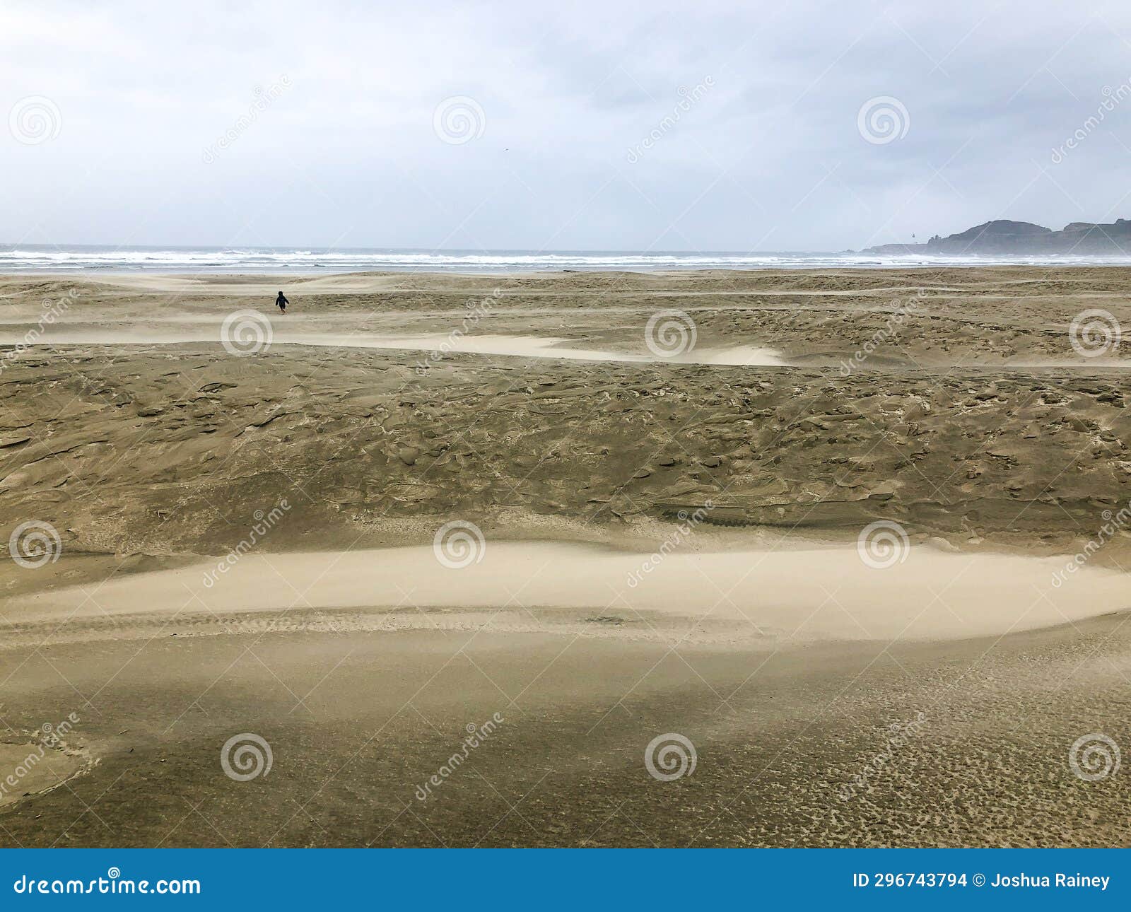 Windy Sandy Beach in Oregon Stock Photo - Image of coast, grass: 296743794