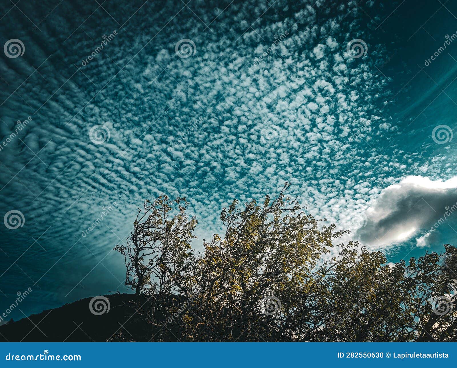 Windy Sky Full of Disperse Clouds Stock Photo - Image of light, green ...