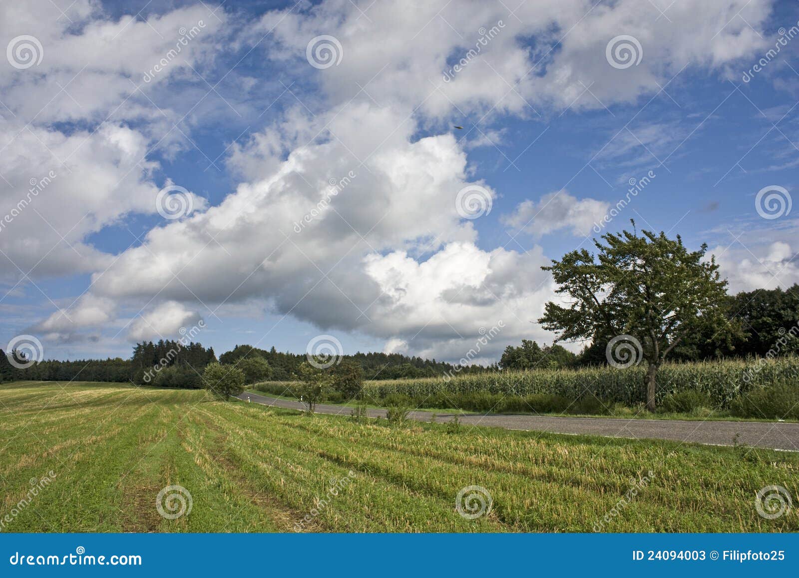 Windy Spring Day in Countrside Stock Image - Image of wind, countryside ...