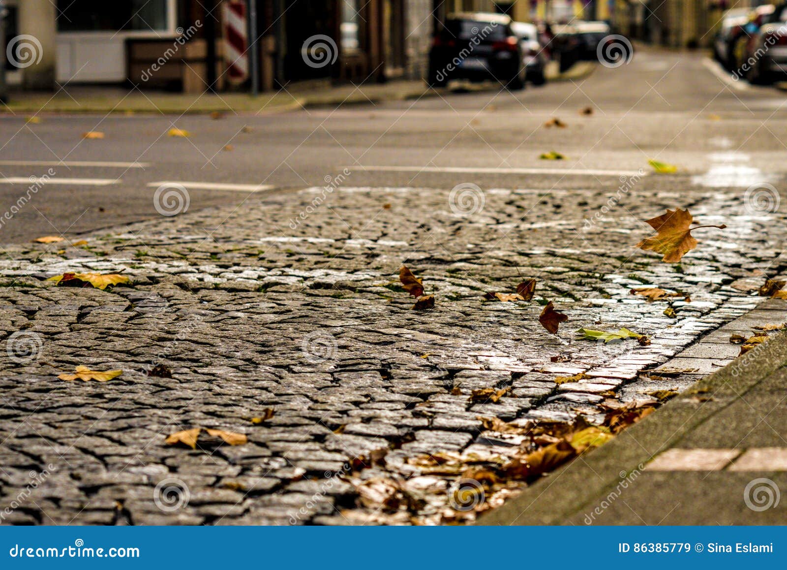 Windy street stock image. Image of detail, fall, street - 86385779