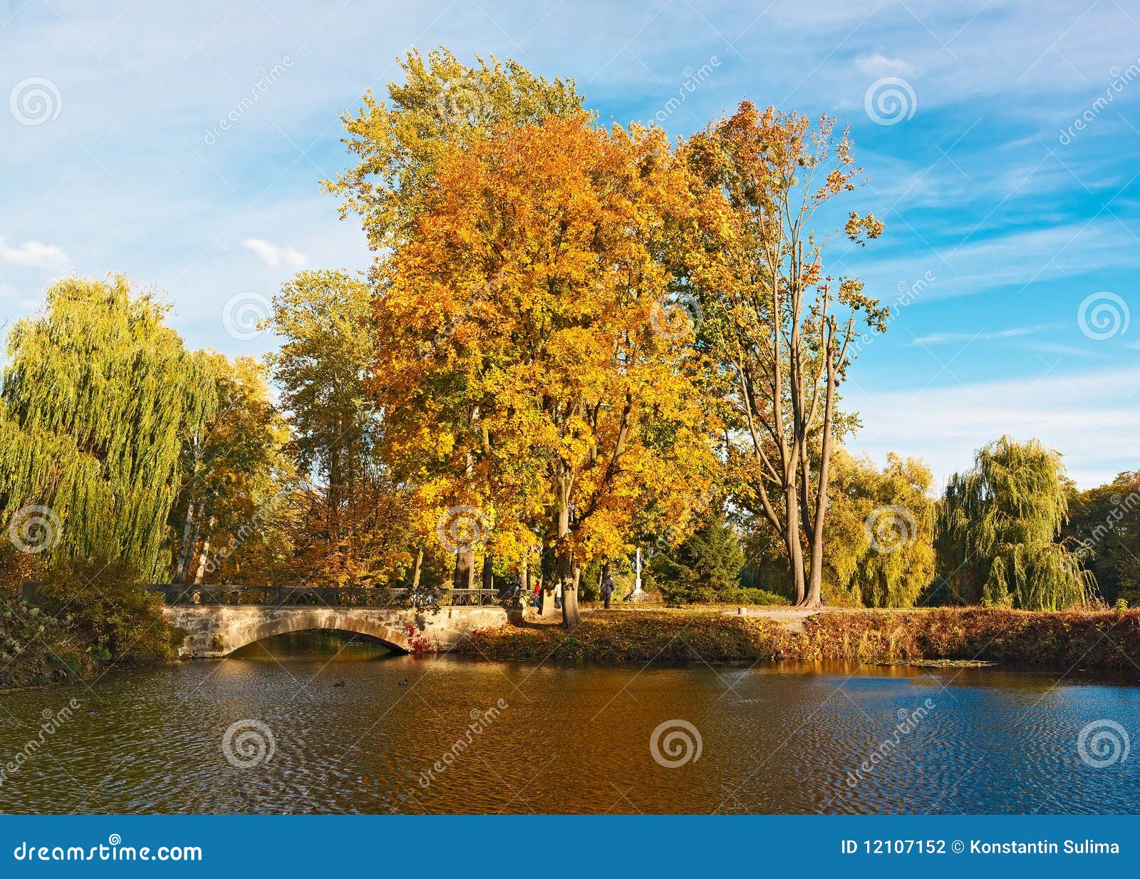 Windy & Sunny stock photo. Image of plant, lake, nature - 12107152