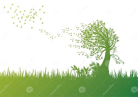 Windy tree stock vector. Illustration of leaves, land - 15517546