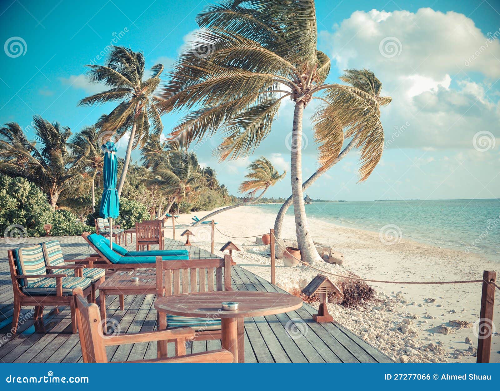 Windy tropical beach scene stock photo. Image of blowing - 27277066