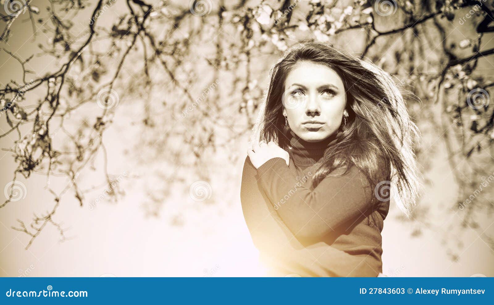 Windy woman portrait stock image. Image of leafs, tree - 27843603