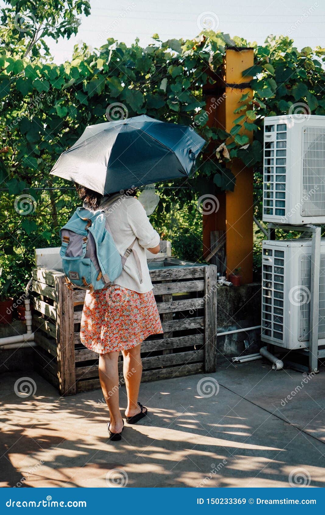 Windy Woman stock image. Image of woman, sunshine, windy - 150233369