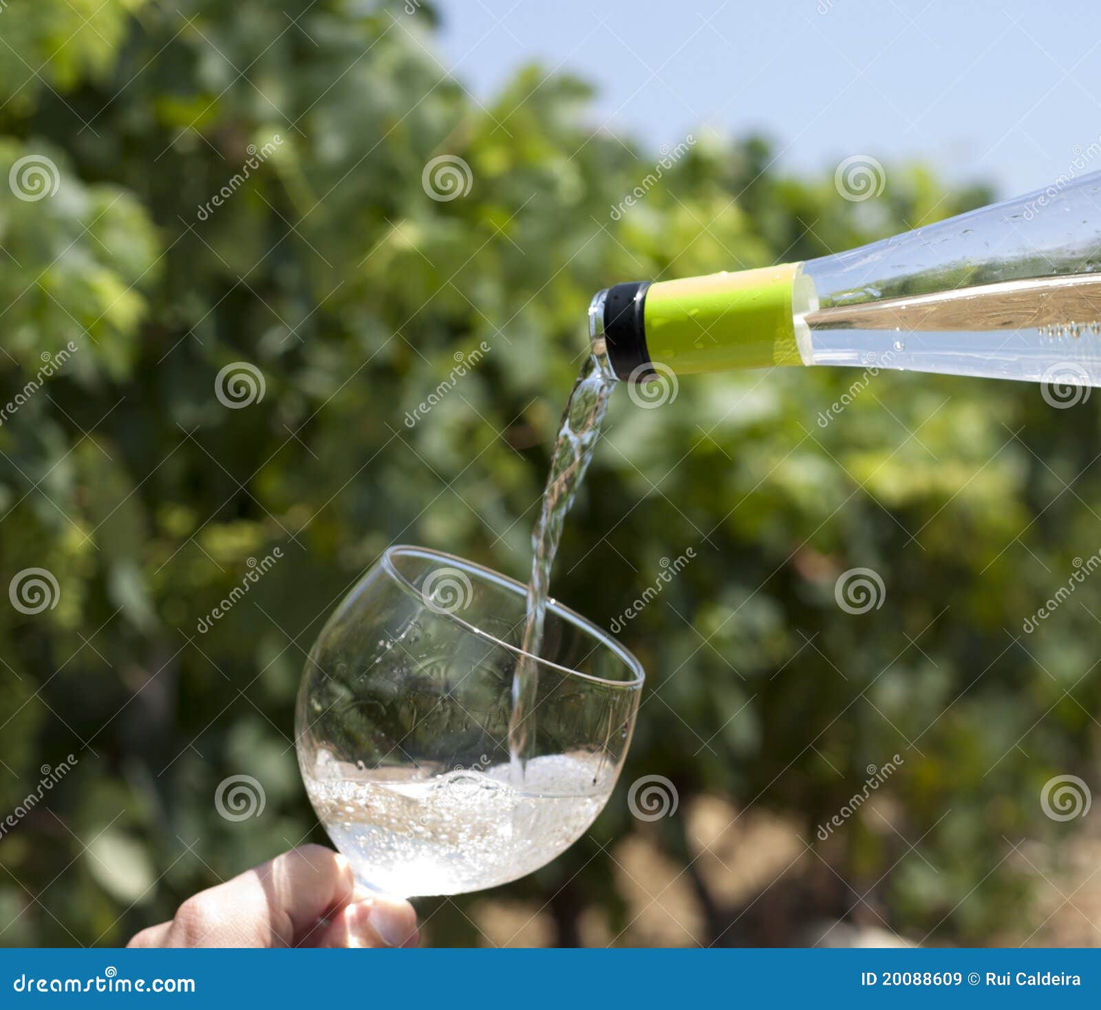 Wine stock image. Image of water, wine, drink, white - 20088609