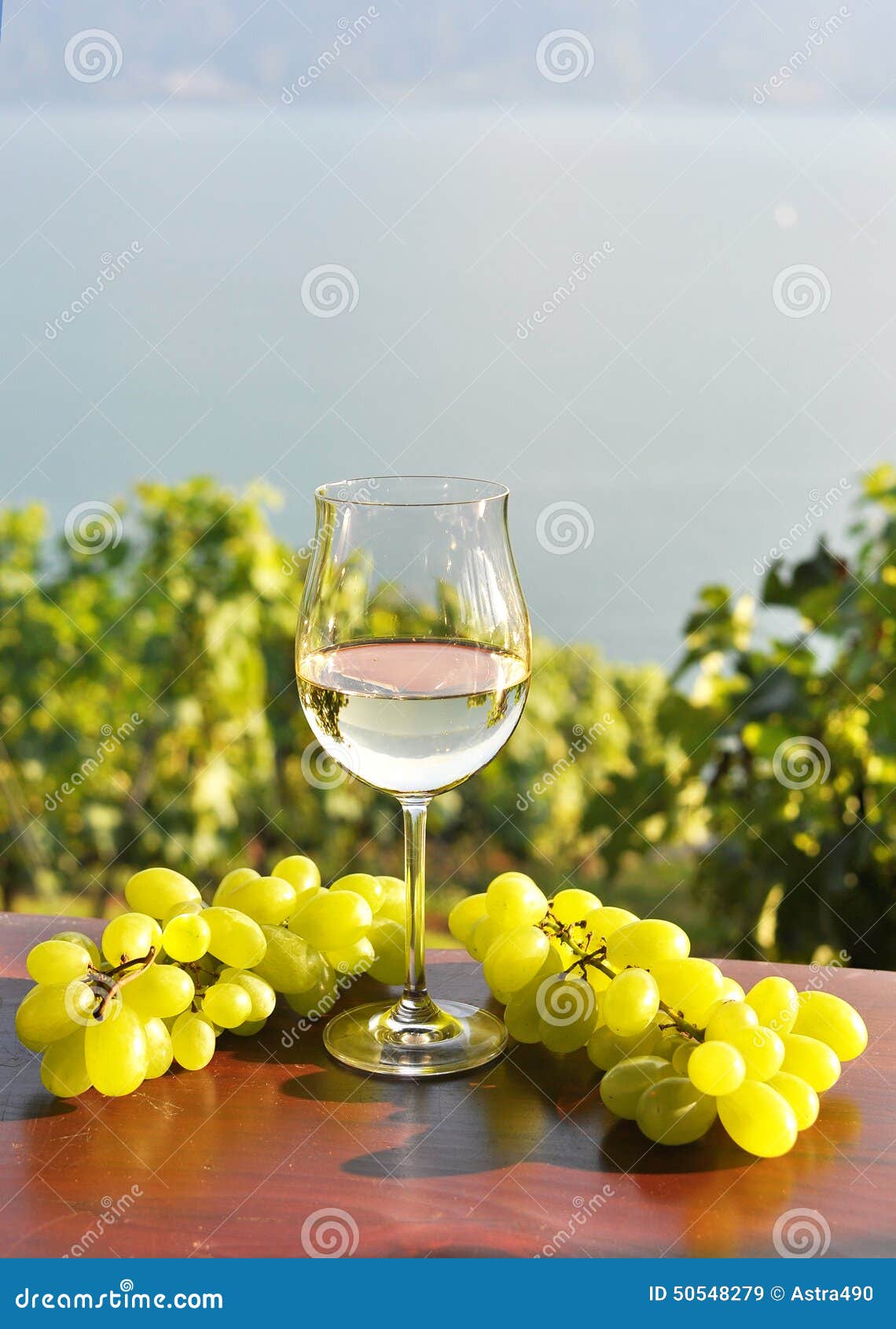 Wine ad grapes. stock image. Image of harvest, agriculture - 50548279