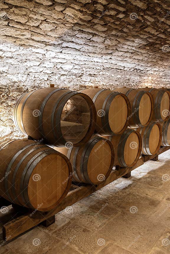Wine aging in oak barrels stock image. Image of wine - 295645865