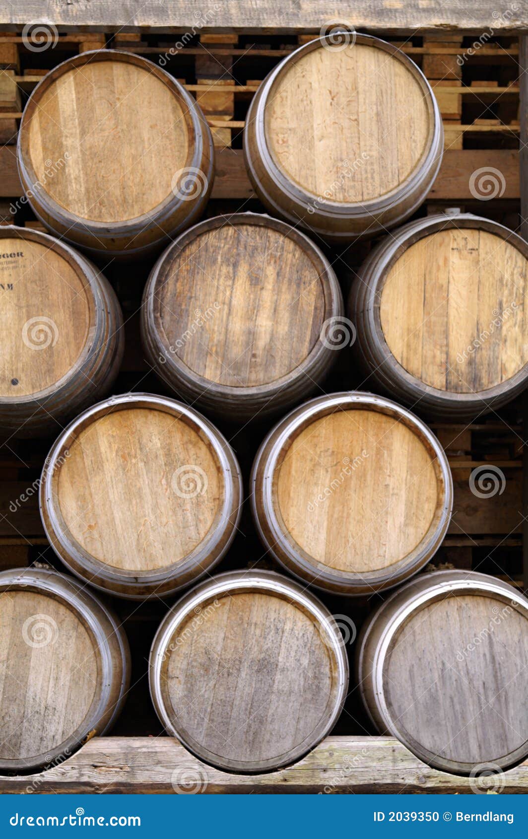 Wine barrel stock photo. Image of winegrower, barrels - 2039350